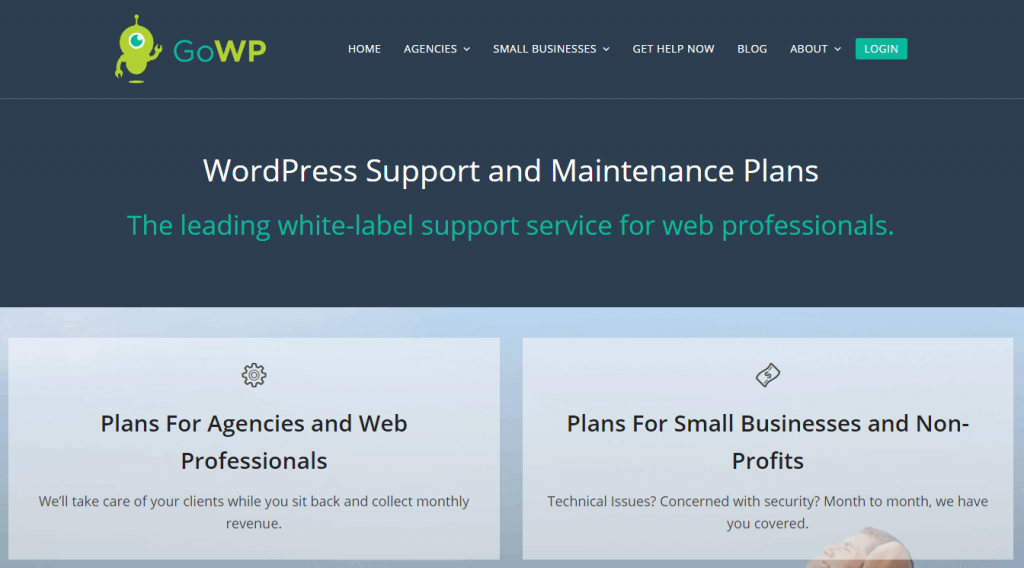 17 Best WordPress Support Services in 2020 – StylemixThemes