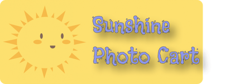 14 Plugins and Tools for WordPress Photography Bloggers