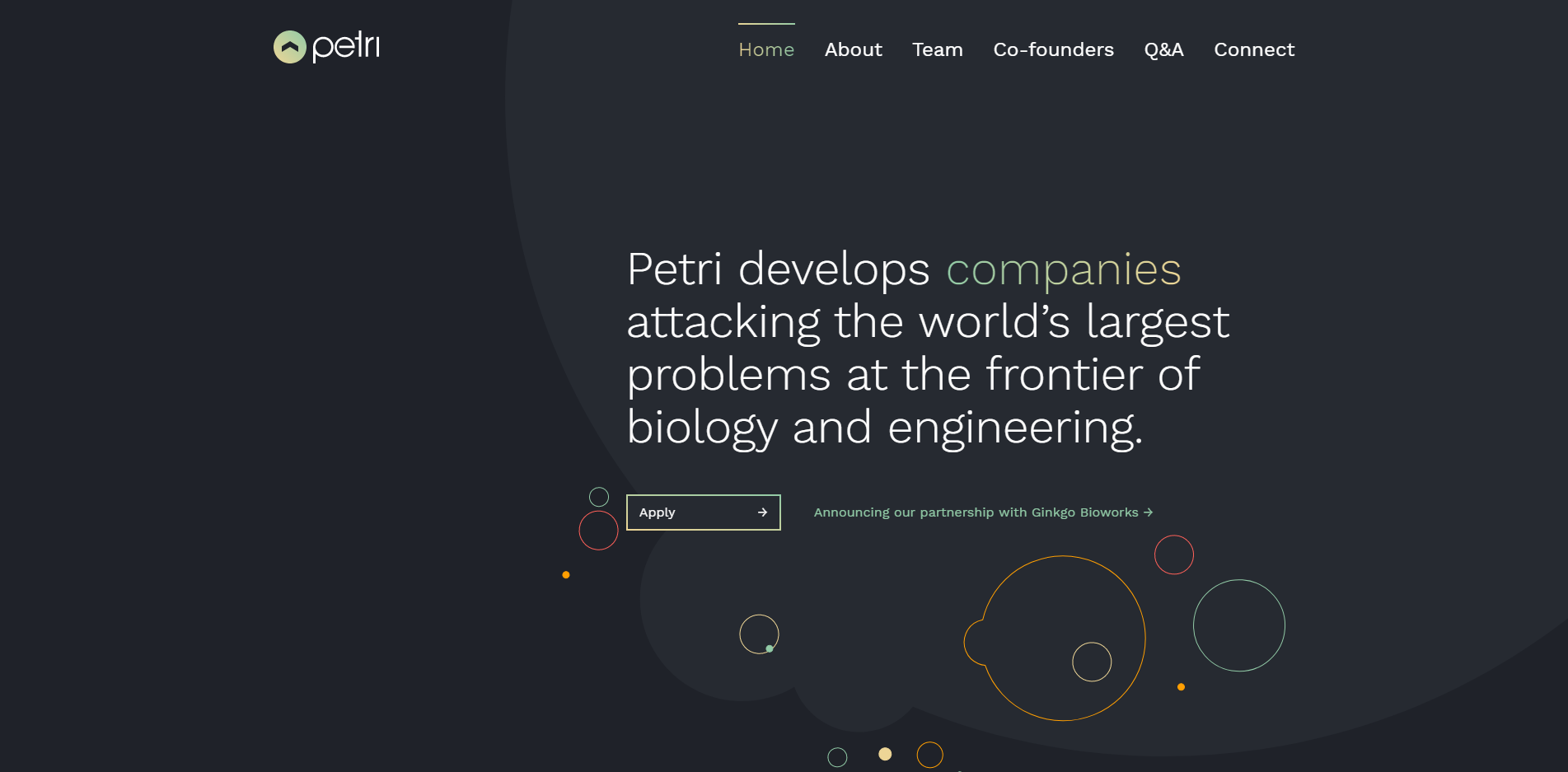 What’s Next for Web Design in 2020