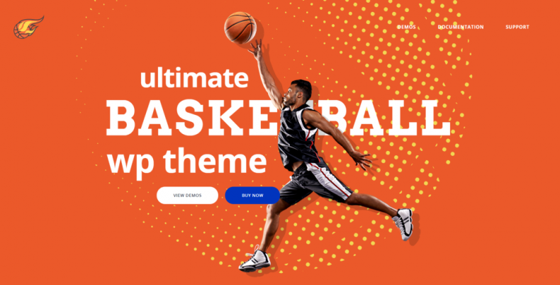 20+ Best Sports WordPress Themes