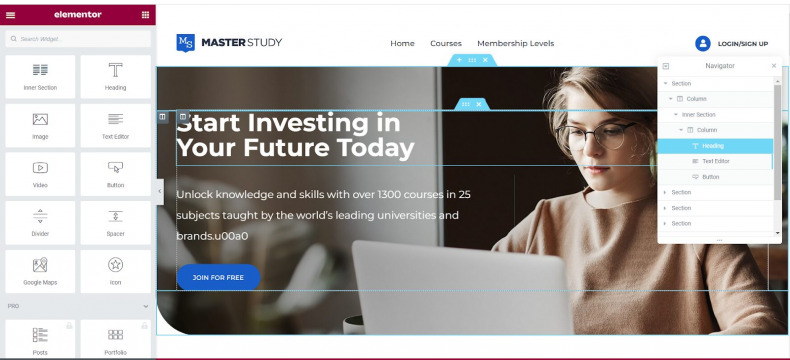 Introducing the Starter theme: A free WordPress theme for MasterStudy LMS plugin