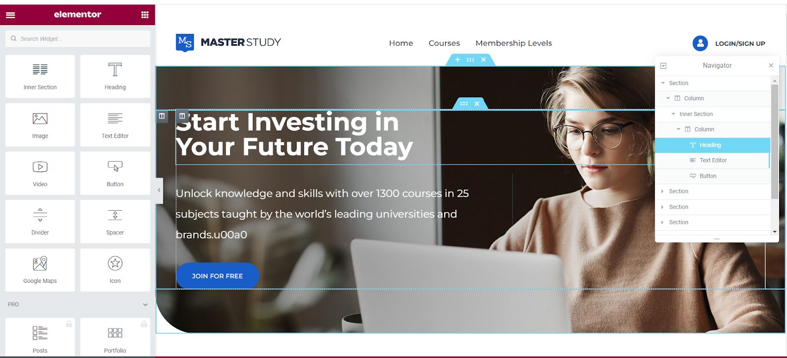 Introducing the Starter theme: A free WordPress theme for MasterStudy LMS plugin